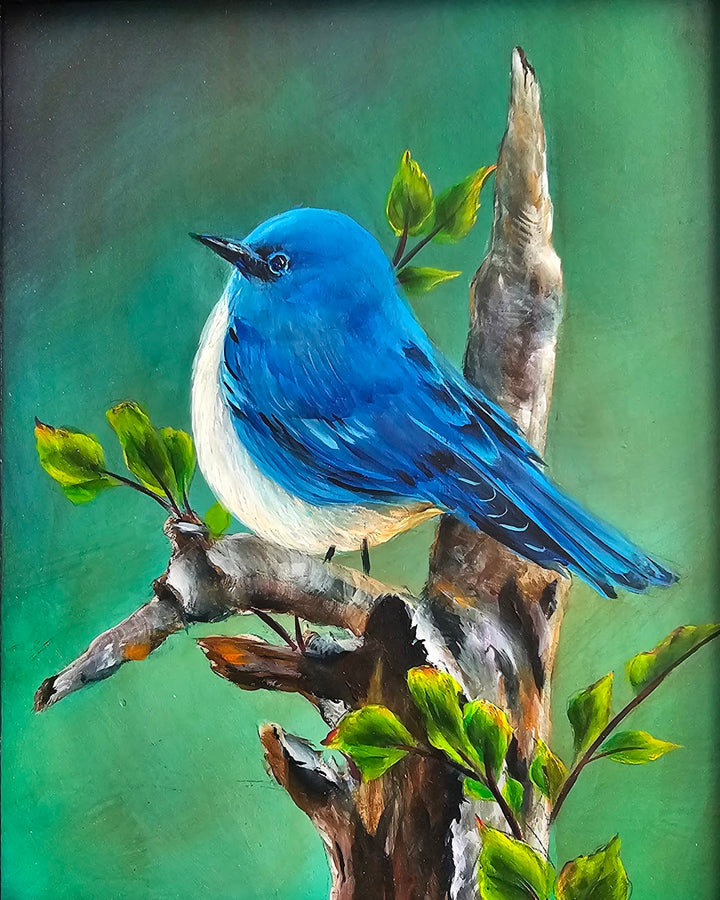 Kits – Page 2 – Maureen Baker